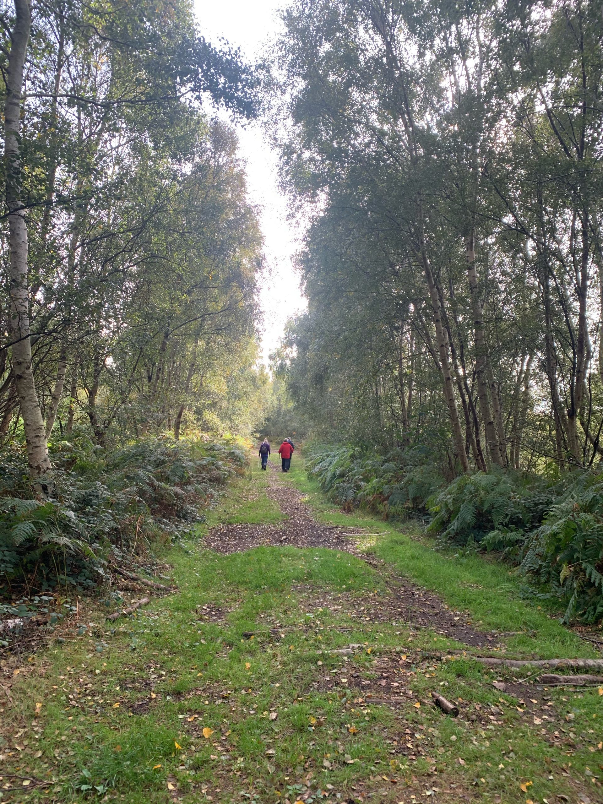 Friday Adventure to Hatfield Moors - Sherwood Nordic Walking