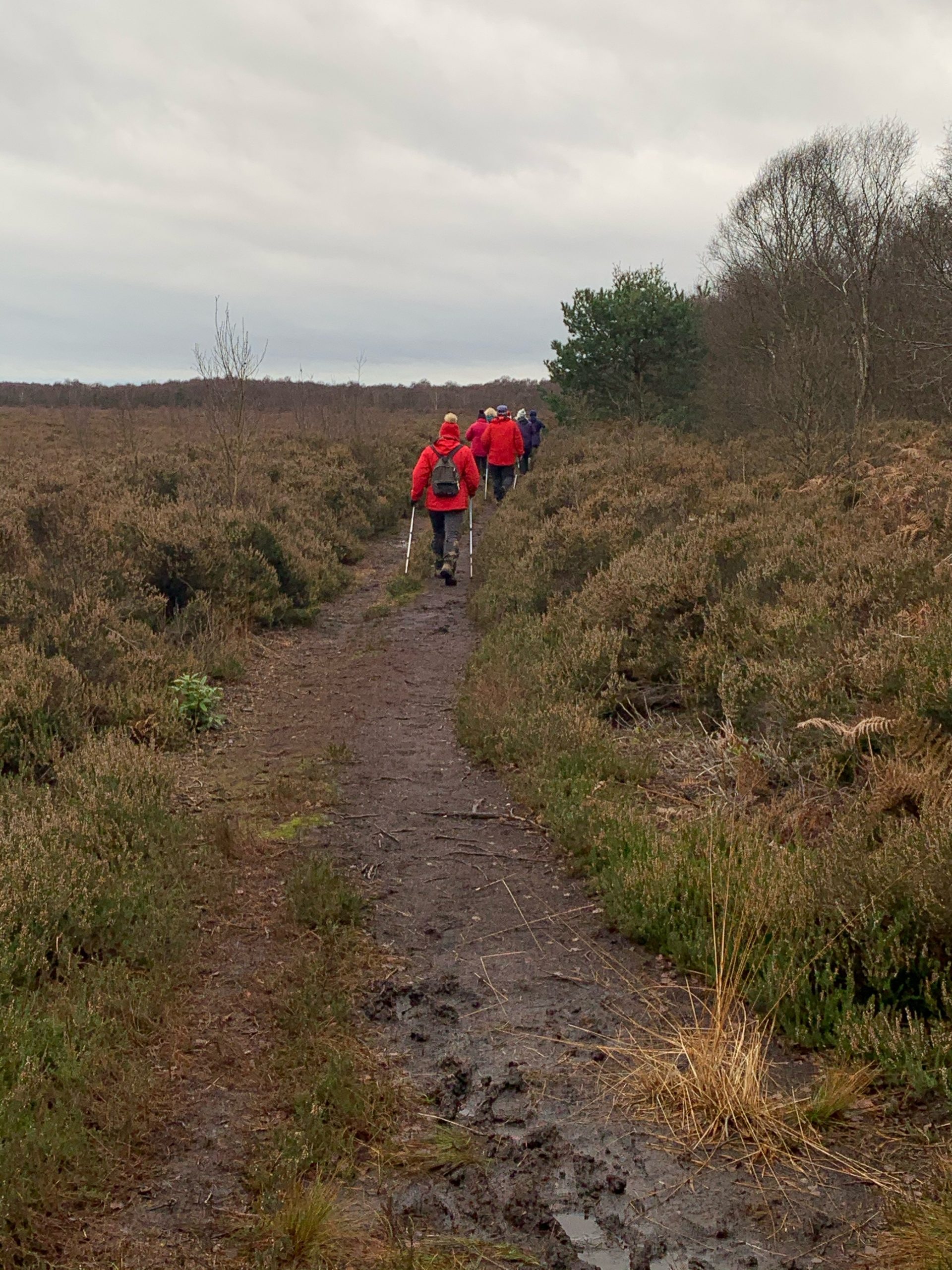 Relaxed Adventure at Hatfield Moors - Sherwood Nordic Walking