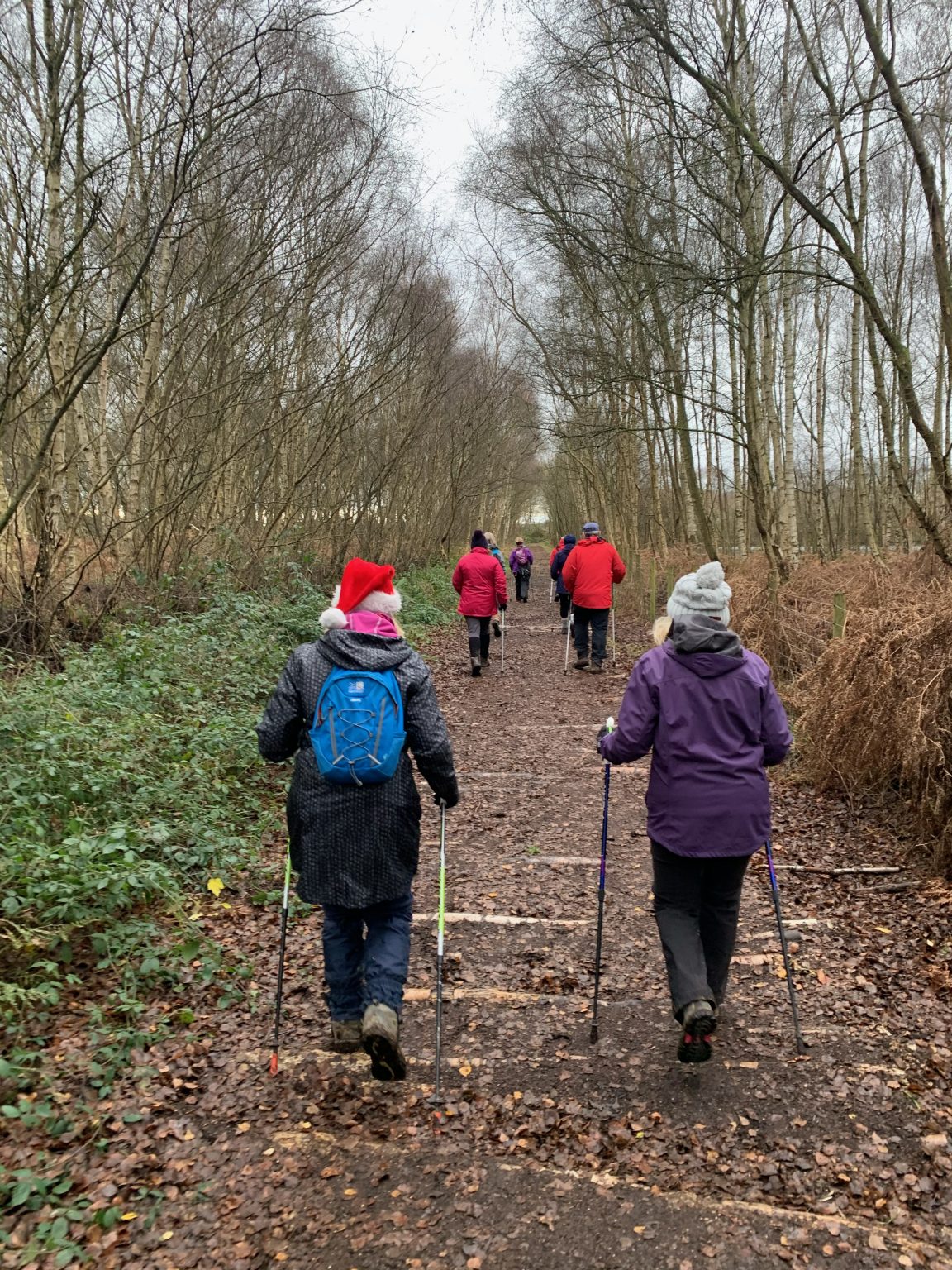 Friday Adventure to Hatfield Moors - Sherwood Nordic Walking